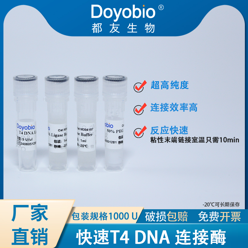 快速t4 Dna连接酶 1000 U,t4 Dna Ligase(fast)上海都友生物科技有限公司
