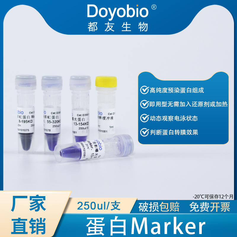 蛋白marker_上海都友生物科技有限公司