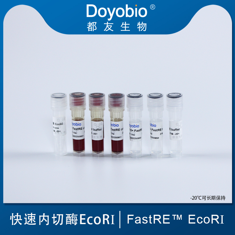 快速内切酶 EcoRI，FastRE™ EcoRl，600T_上海都友生物科技有限公司