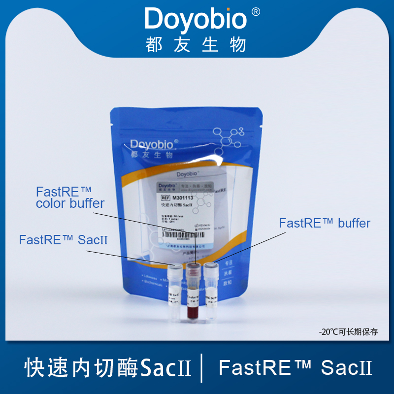 快速内切酶 SacII，FastRE™ SacII，50T_上海都友生物科技有限公司